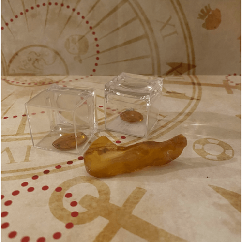 Bernstein mit Insekteneinschluss in Lupe – Die Jakobskinder – Entdecken ...